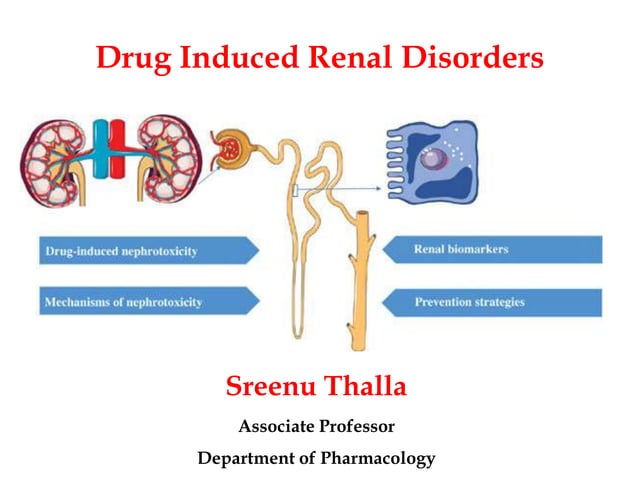 Pharmacotherapy of Drug induced kidney disease | PPTX | Pharmaceutical ...
