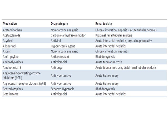 Pharmacotherapy of Drug induced kidney disease | PPTX | Pharmaceutical ...