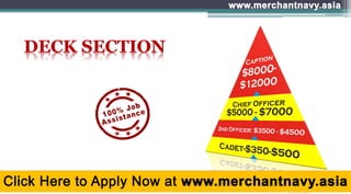 direct entry program to join merchant navy | PDF | Cruises | Travel Type