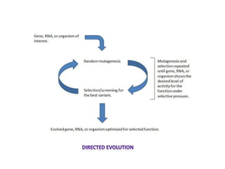 Directed evolution | PPTX
