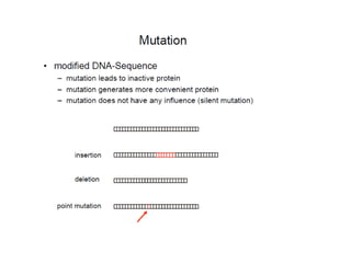 Directed evolution | PPTX