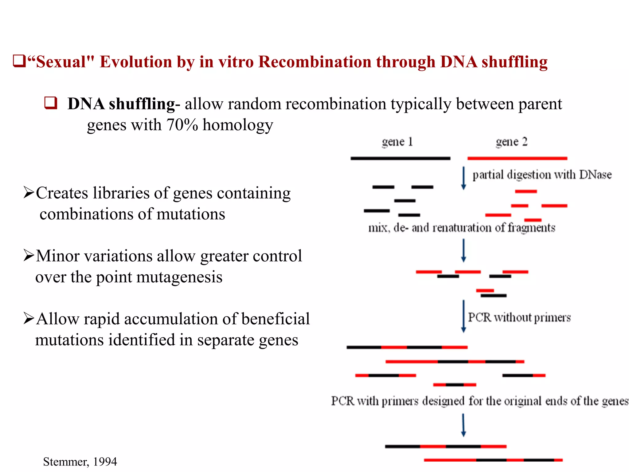 Directed evolution of enzymes | PPTX