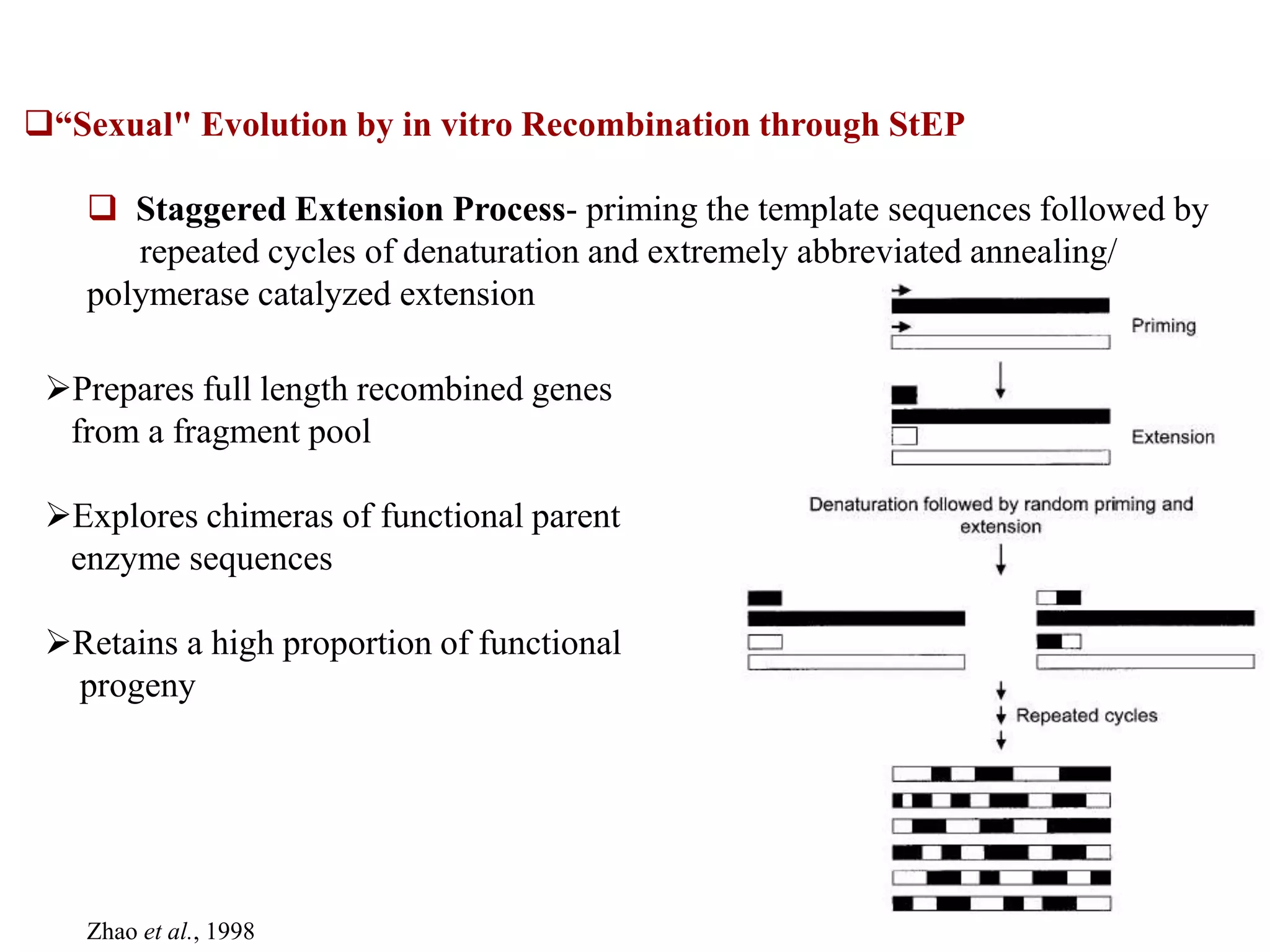 Directed evolution of enzymes | PPTX