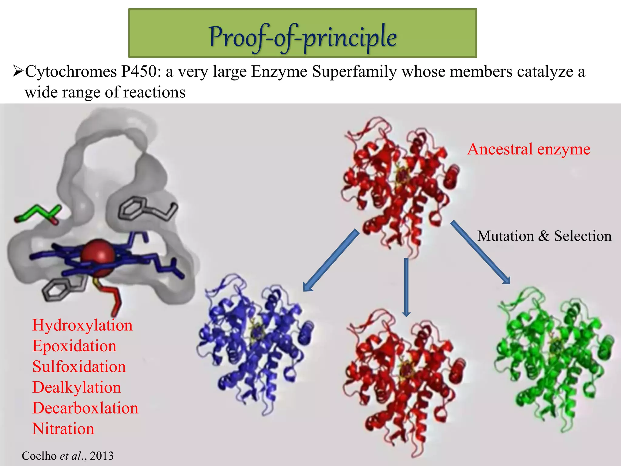 Directed evolution of enzymes | PPTX