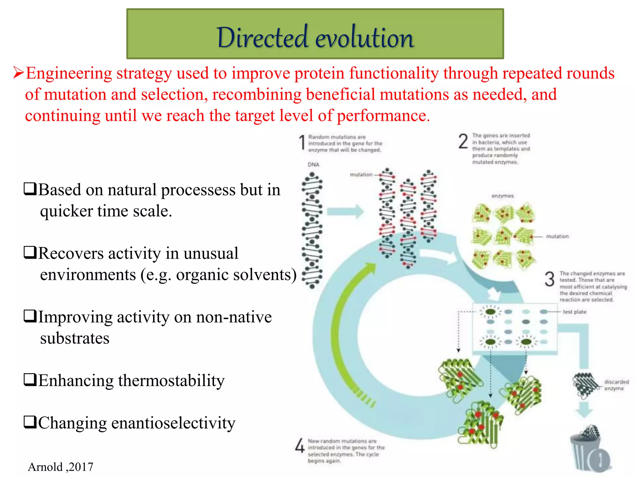 Directed evolution of enzymes | PPTX