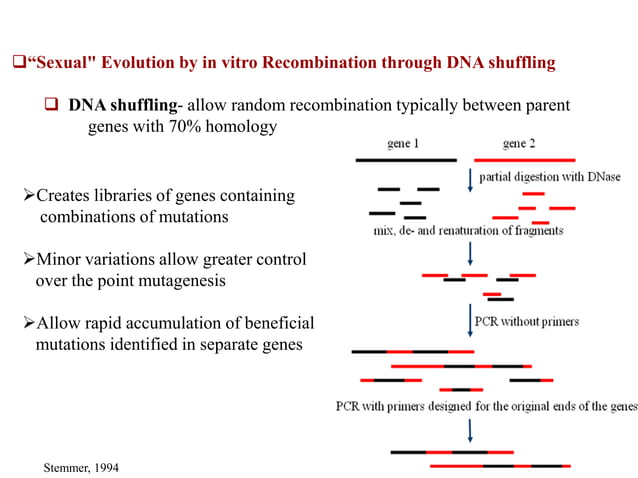 Directed evolution of enzymes | PPTX | Biotech and Biomedical Industry ...