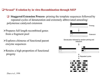 Directed evolution of enzymes | PPTX
