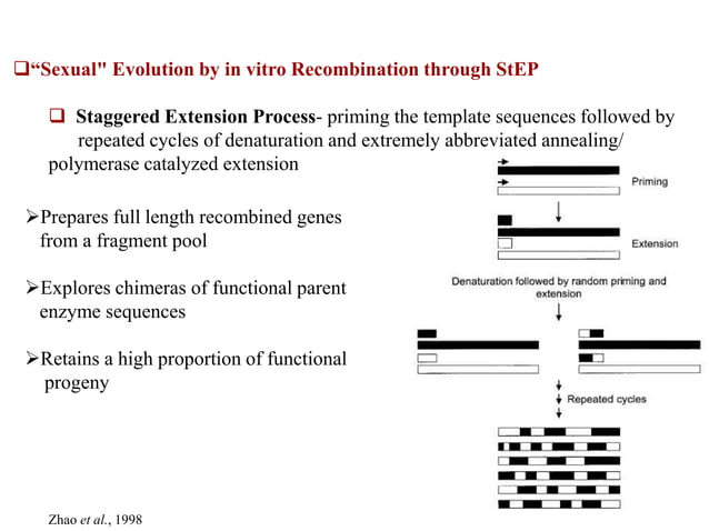 Directed evolution of enzymes | PPTX | Biotech and Biomedical Industry ...