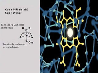 Directed evolution of enzymes | PPTX