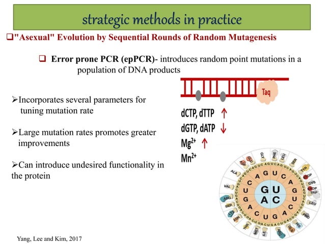 Directed evolution of enzymes | PPTX | Biotech and Biomedical Industry ...