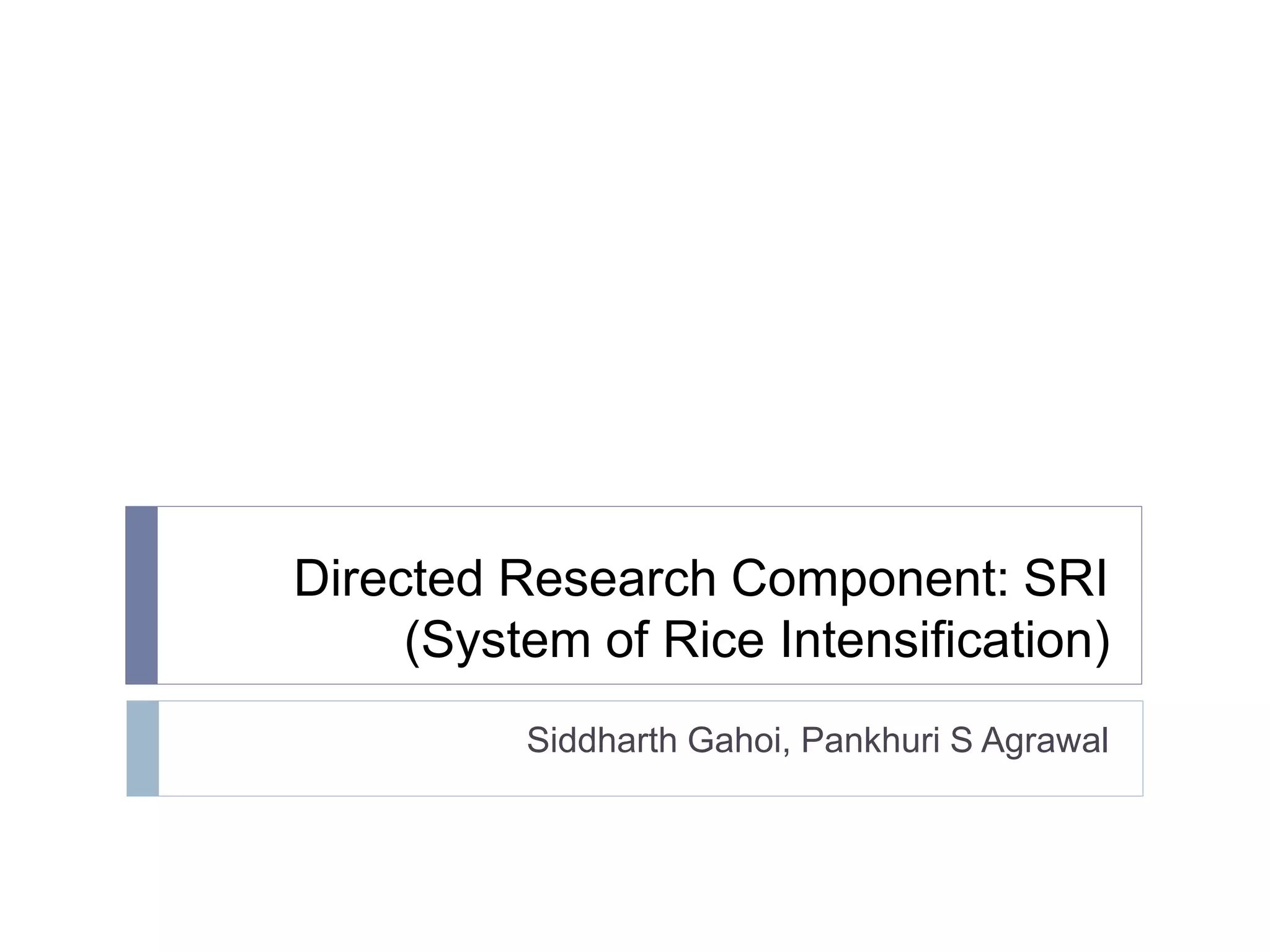 Directed research component sri (system of rice intensification) | PPT