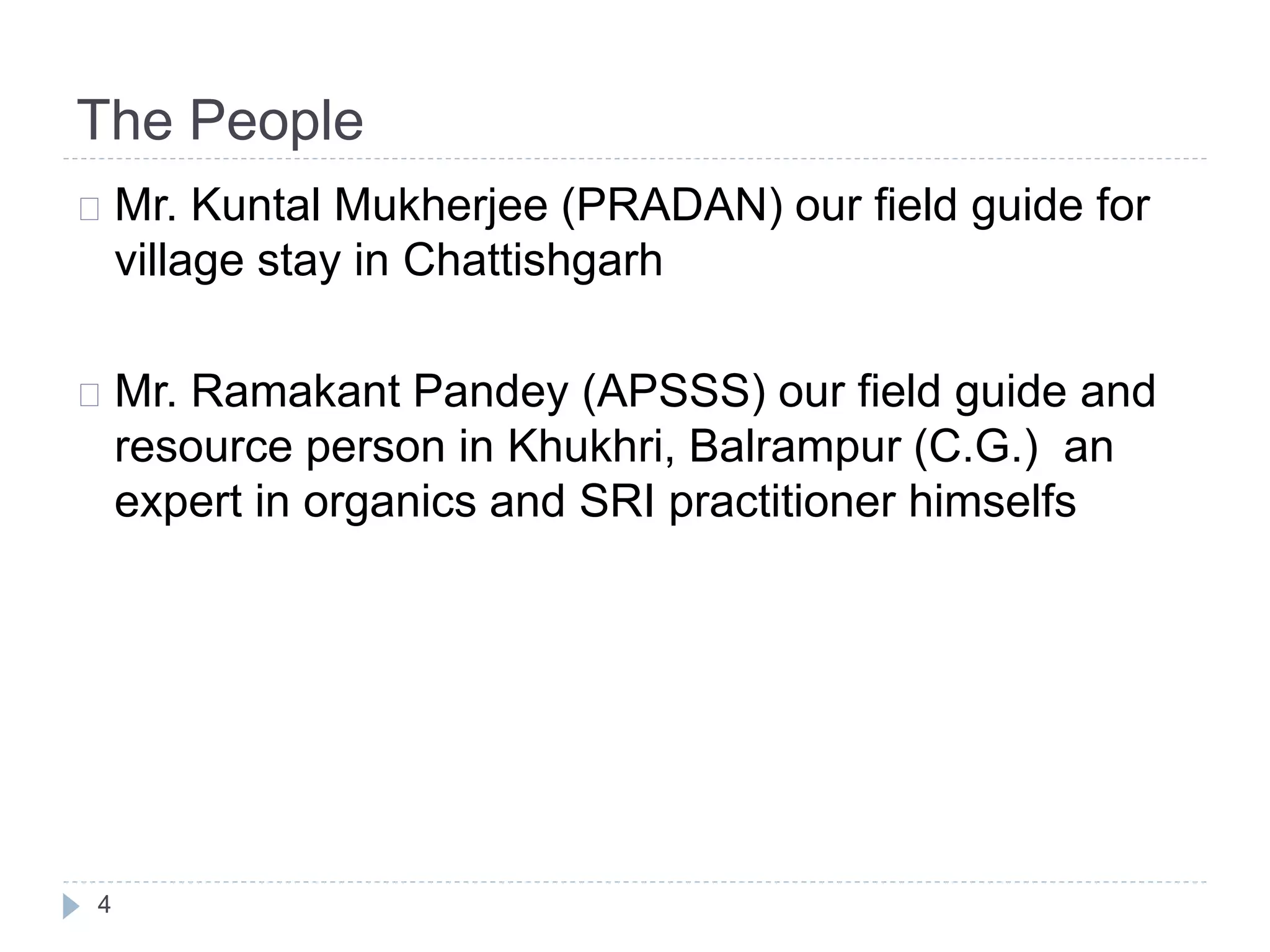 Directed research component sri (system of rice intensification) | PPT