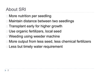 Directed research component sri (system of rice intensification) | PPT