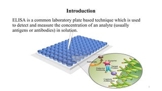 Direct ELISA - procedure and application.pptx