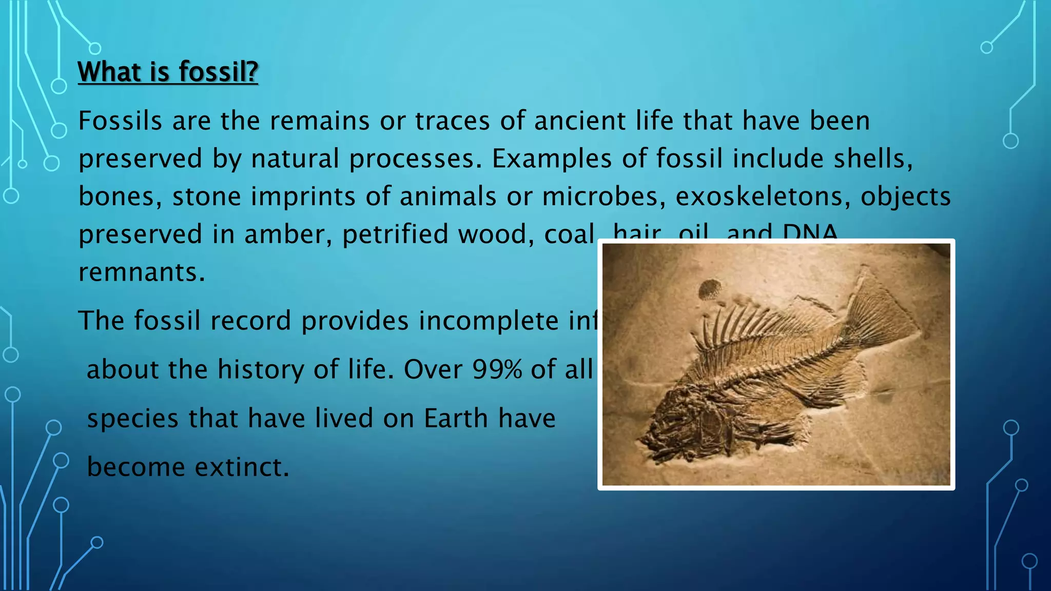 Direct evidence of evolution.pptx