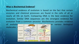 Direct evidence of evolution.pptx