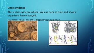 Direct evidence of evolution.pptx