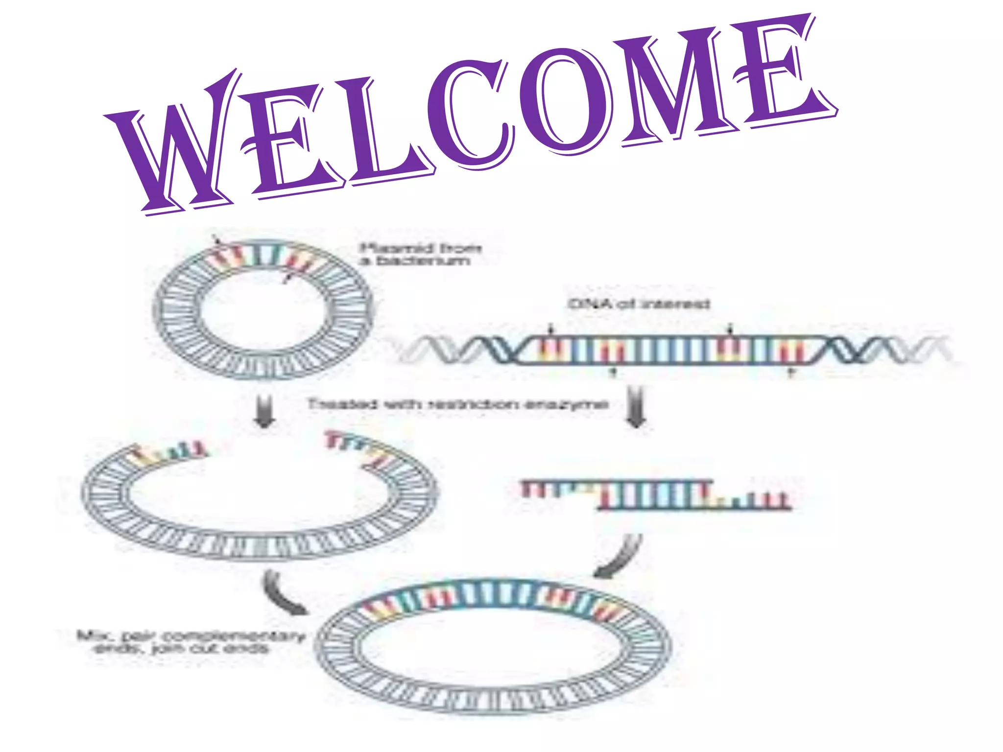 Direct gene transfer | PDF