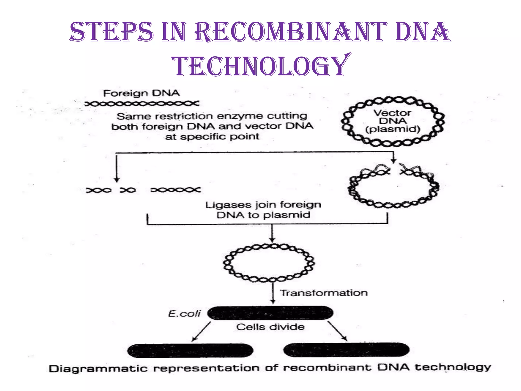 Direct gene transfer | PDF