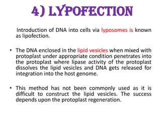 Direct gene transfer | PDF