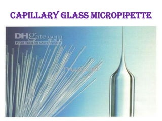 Direct gene transfer | PDF