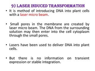 Direct gene transfer | PDF