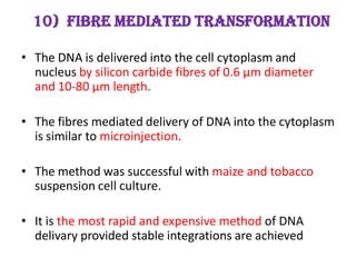 Direct gene transfer | PDF