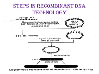 Direct gene transfer | PDF