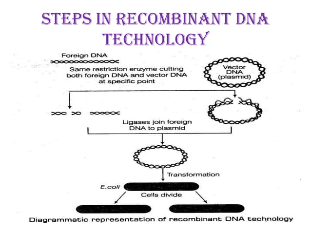 Direct gene transfer | PDF | Biological Sciences | Science