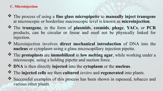 Direct Gene Transfer Techniques for Developing Transgenic Plants | PPT