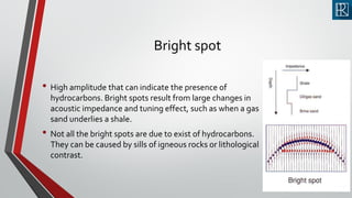 Direct hydrocarbon indicators (DHI) | PDF