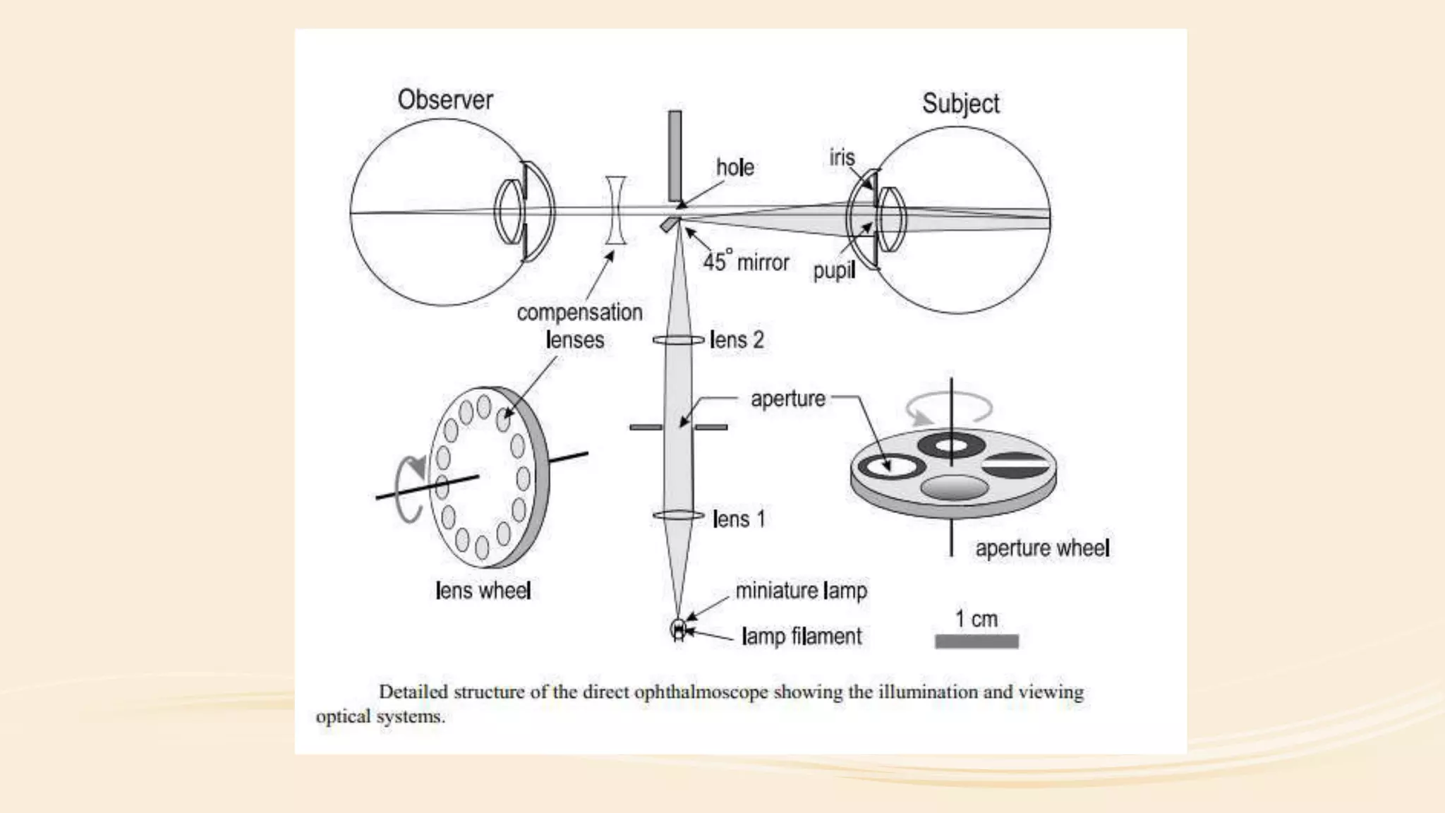 Direct & indirect ophthalmoscopy | PPTX