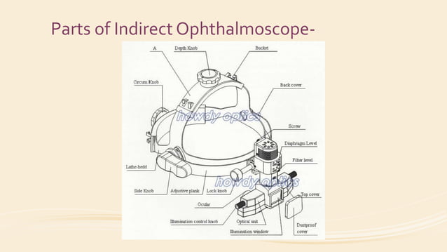 Direct & indirect ophthalmoscopy | PPTX | Eye and Vision Conditions ...