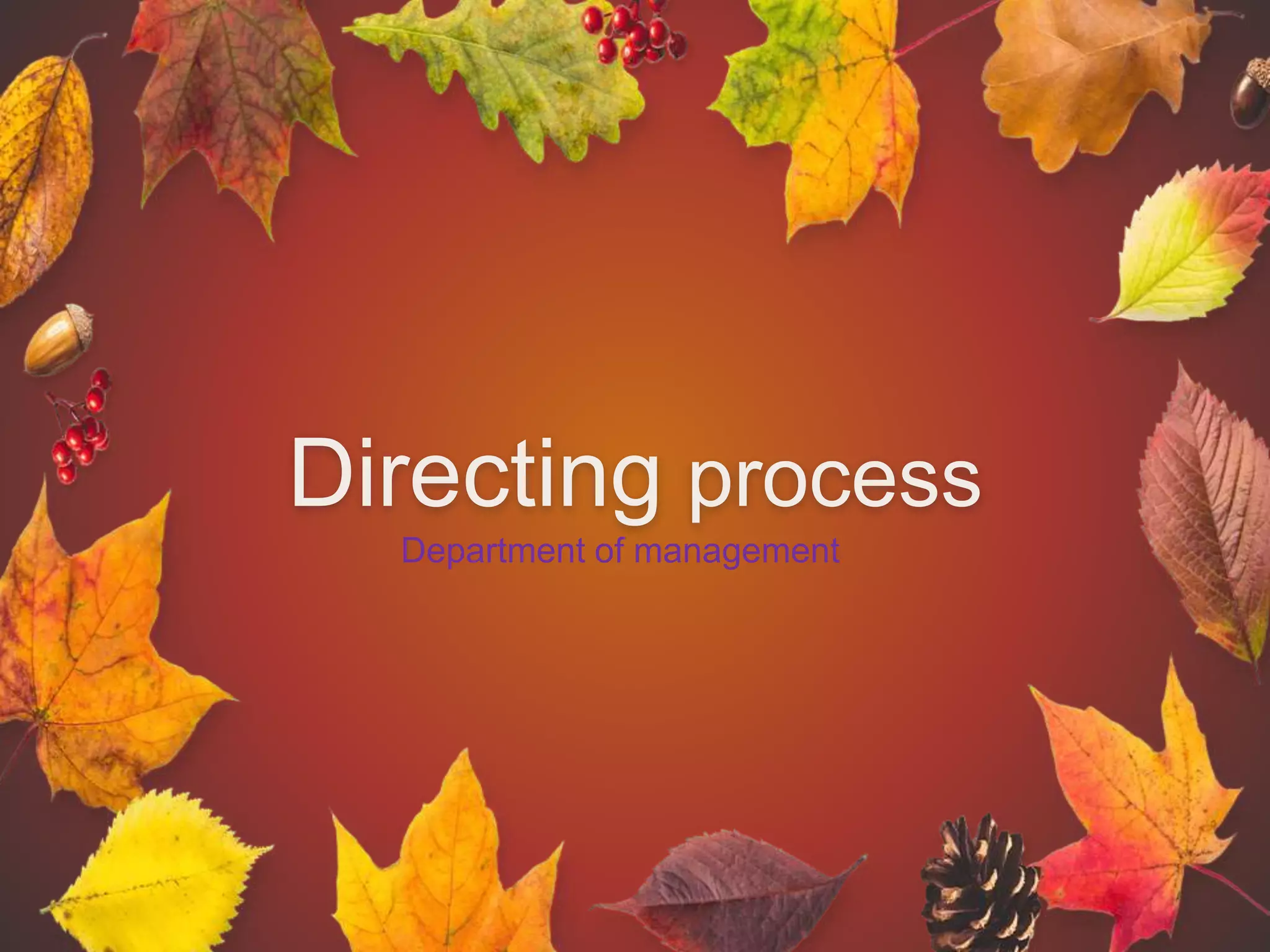 Directing process | PPTX