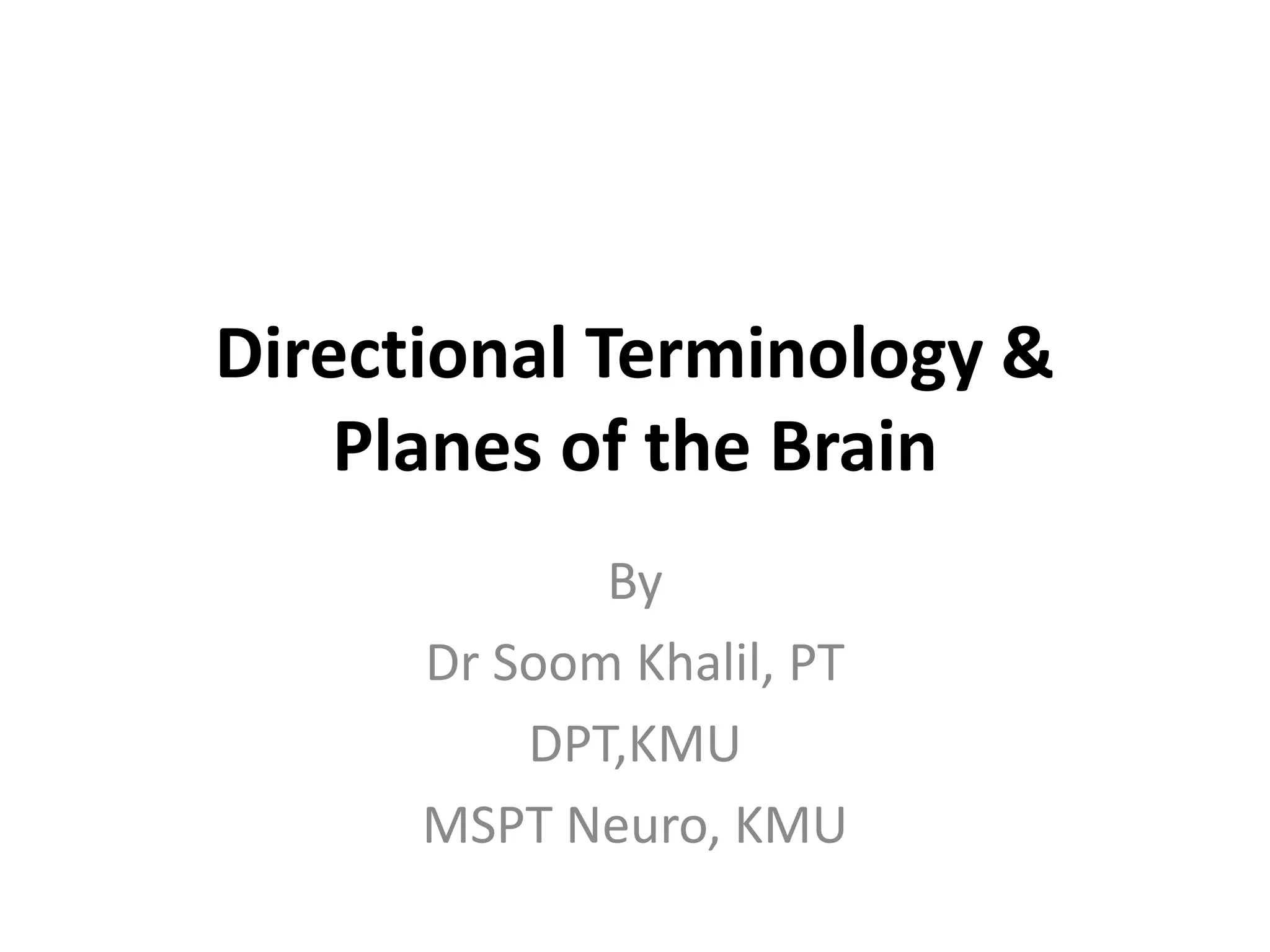 Directional Terminology & Planes of the Brain.pptx