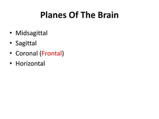 Directional Terminology & Planes of the Brain.pptx