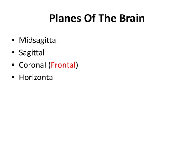 Directional Terminology & Planes of the Brain.pptx