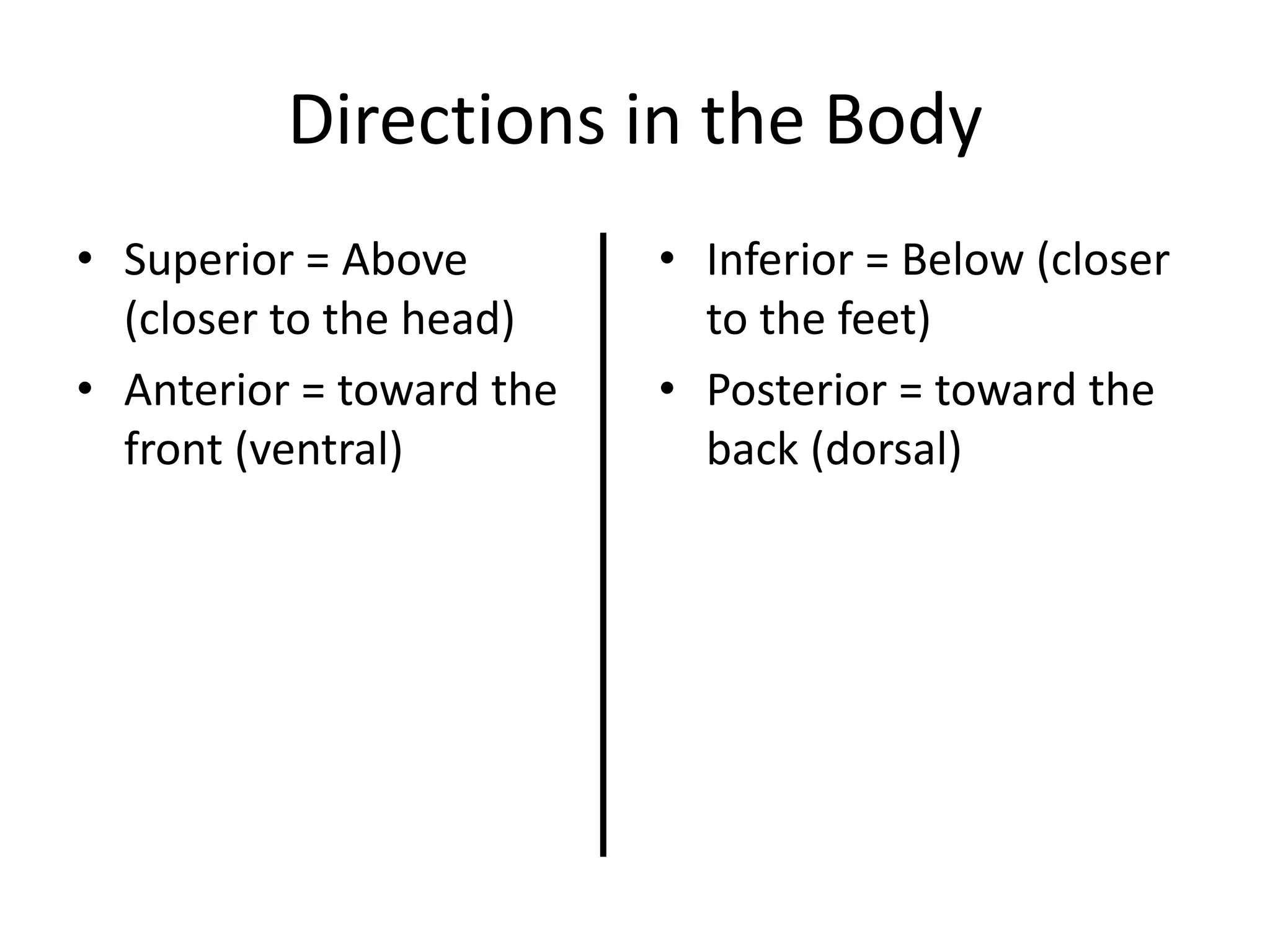 Directional terms | PPTX