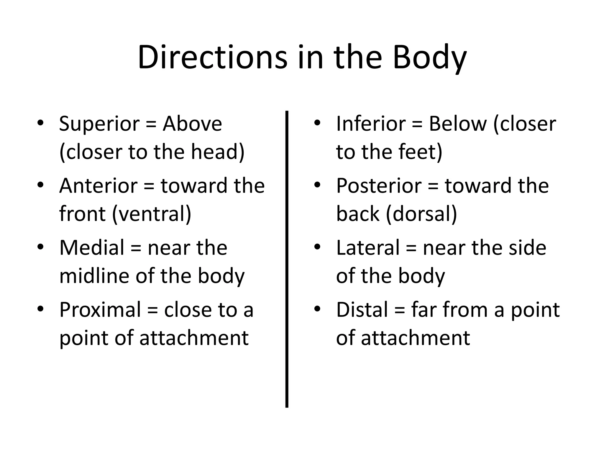 Directional terms | PPTX