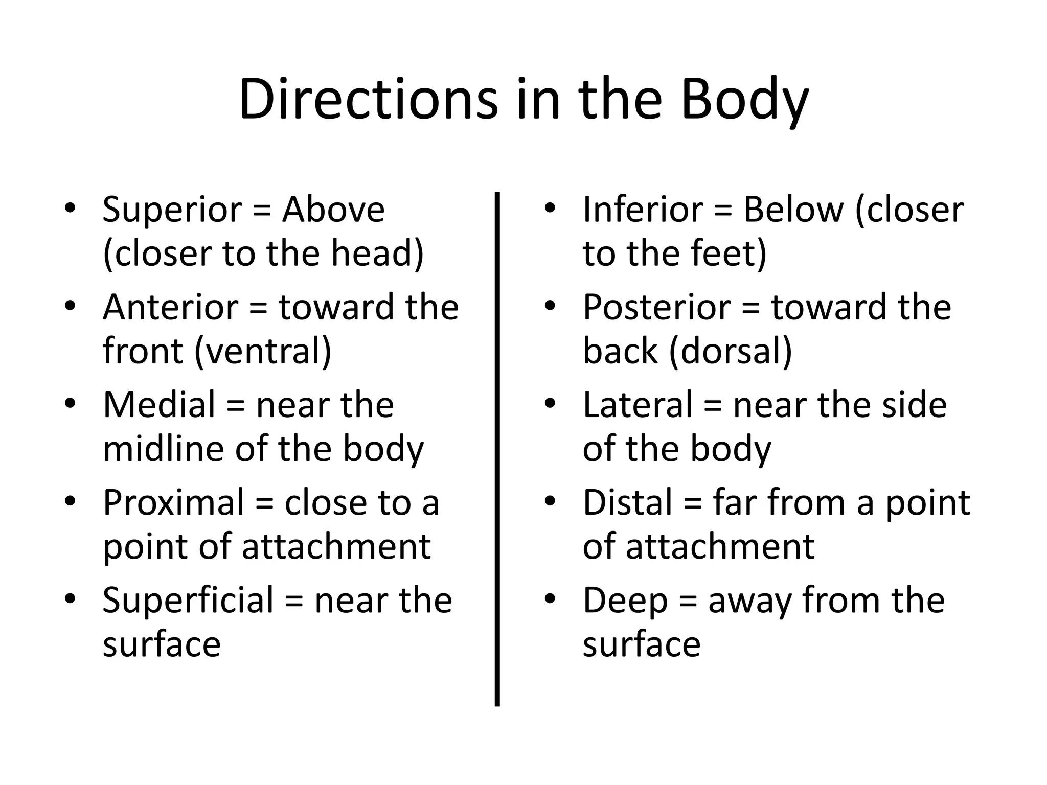 Directional terms | PPTX