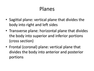 Directional terms | PPTX