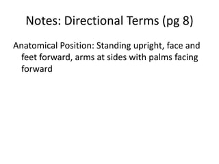 Directional terms | PPTX