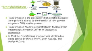 DIRECT METHOD IN TRANSGENIC PLANT PRODUCTION-.pptx