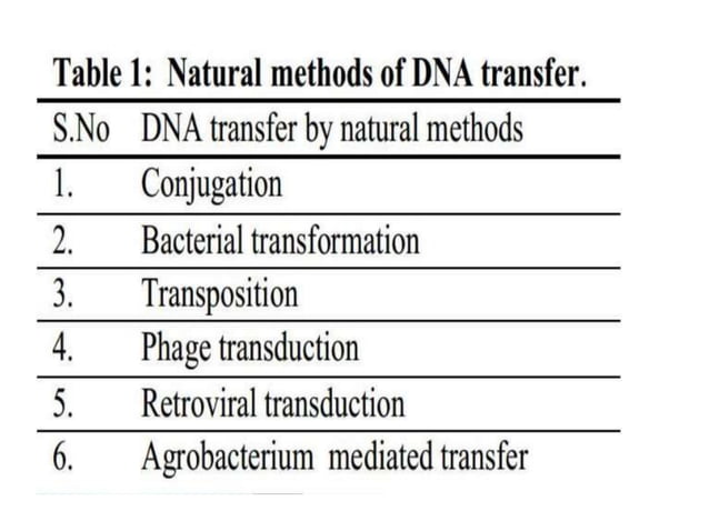 Direct methods of gene transfer in rDNA technology | PPTX