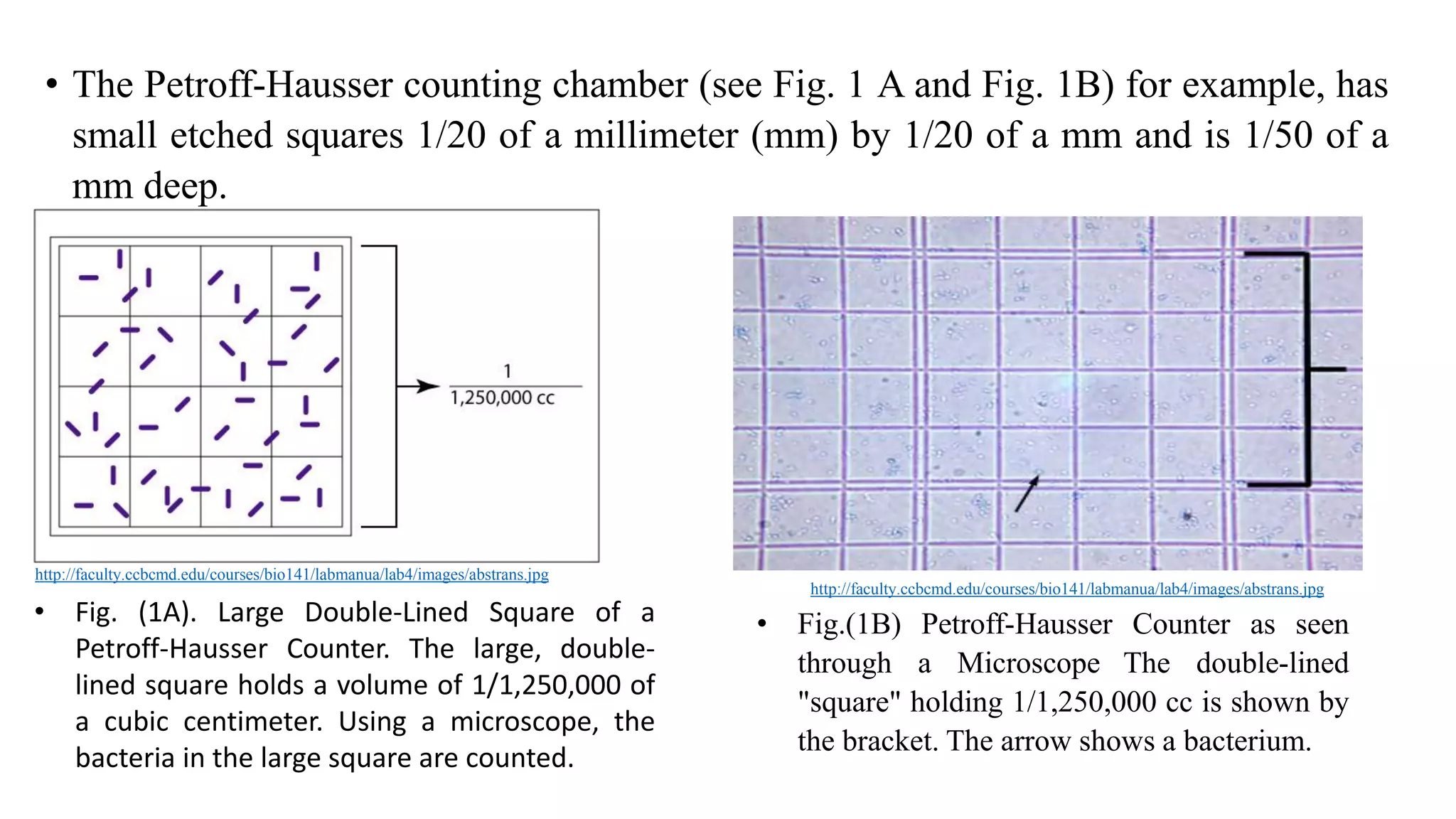 Direct microscope method | PDF