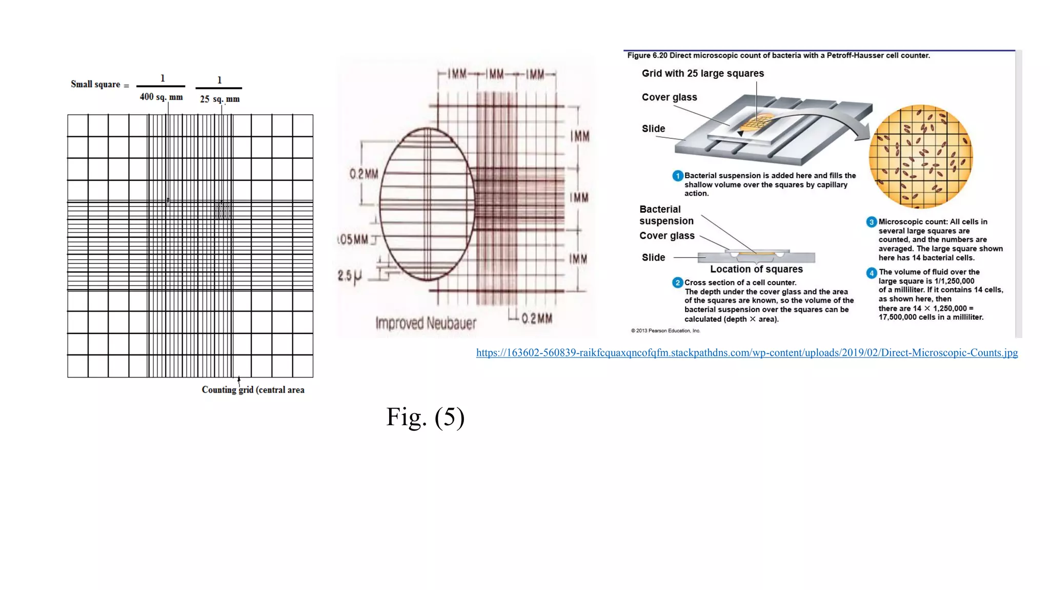 Direct microscope method | PDF
