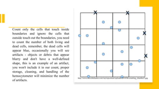 Direct microscope method | PDF