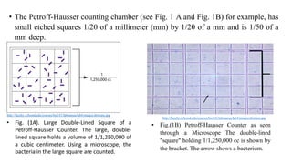Direct microscope method | PDF