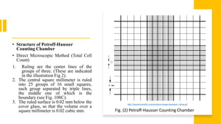 Direct microscope method | PDF