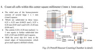 Direct microscope method | PDF